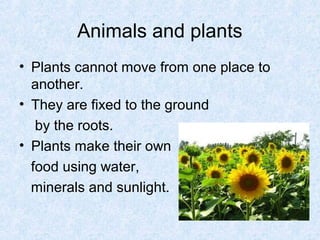 Livingthings.3 cm | PPT