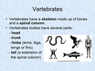 Livingthings.3 cm | PPT