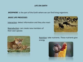 Living things pedro | PPT