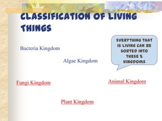 Living things, the cell and the 5 kingdoms | PPSX