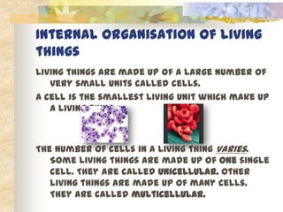 Living things, the cell and the 5 kingdoms | PPSX