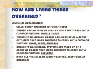 Living things, the cell and the 5 kingdoms | PPSX