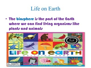 Living things victoria | PPT