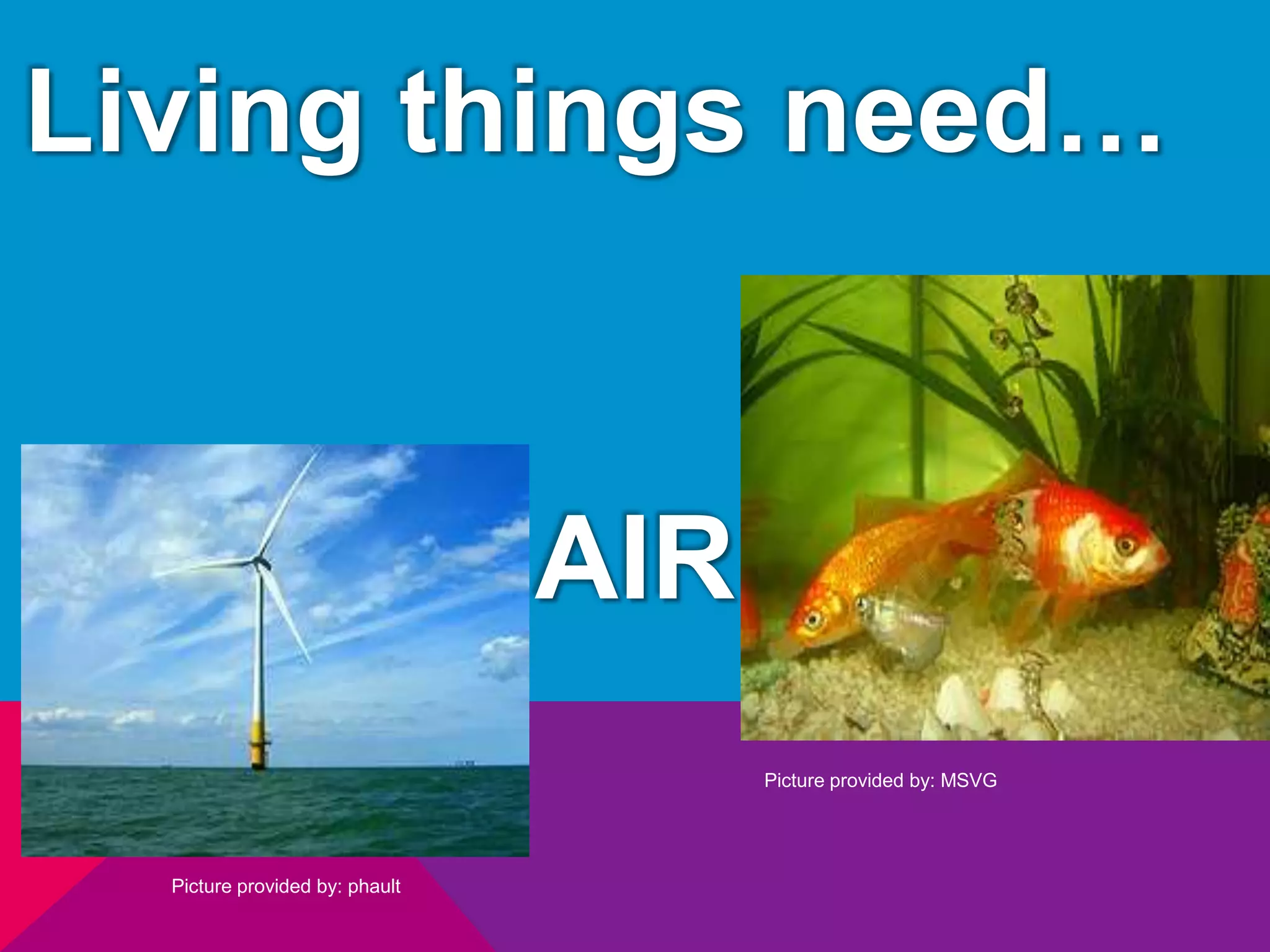 Living things[1] | PPTX