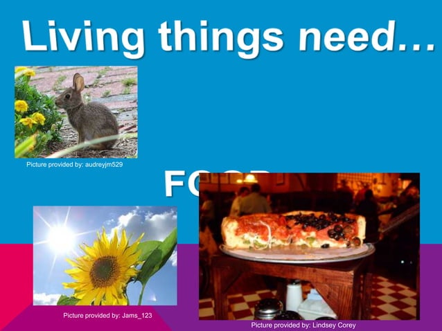 Living things[1] | PPTX