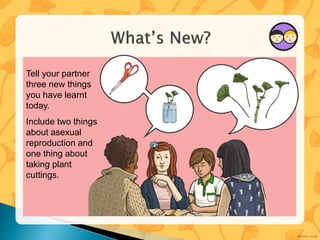 Living things (1) | PPT | Infertility | Reproductive Health