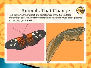 Living things (2) Metamorphosis | PPT