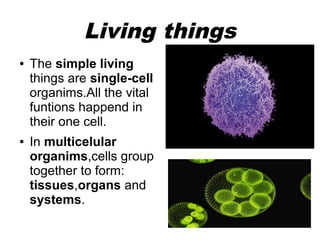 Living things | PPT