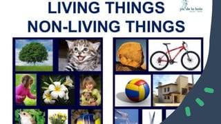 Living Things and grade6 day 1.pptx