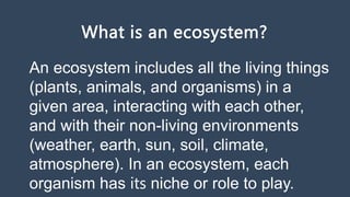 Living Things and grade6 day 1.pptx