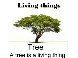 Living things and non living things | PPT