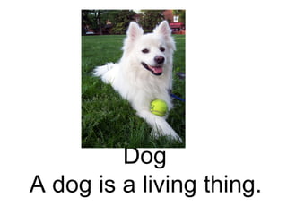 Living things and non living things | PPT