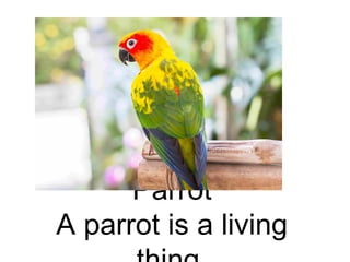 Living things and non living things | PPT