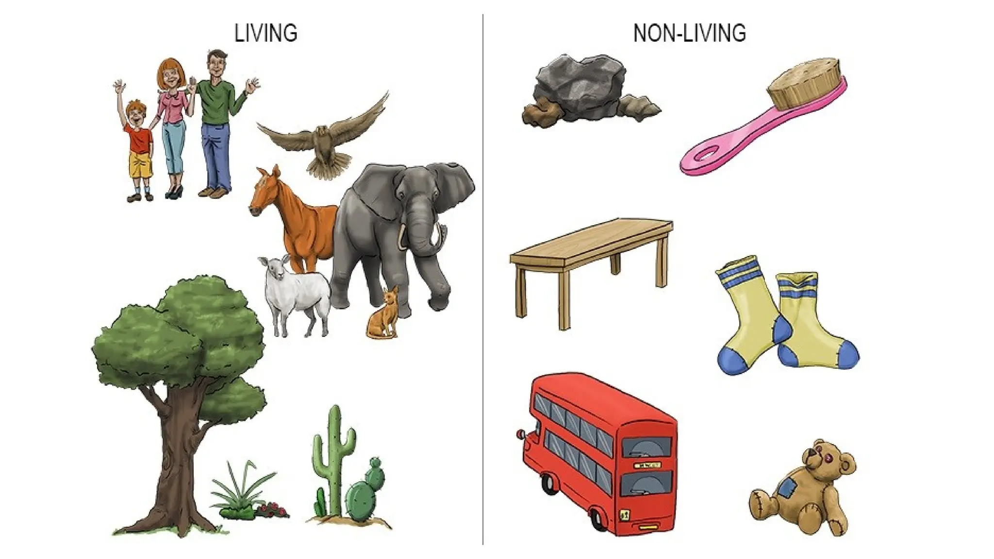 Living things and Non-living things.pptx