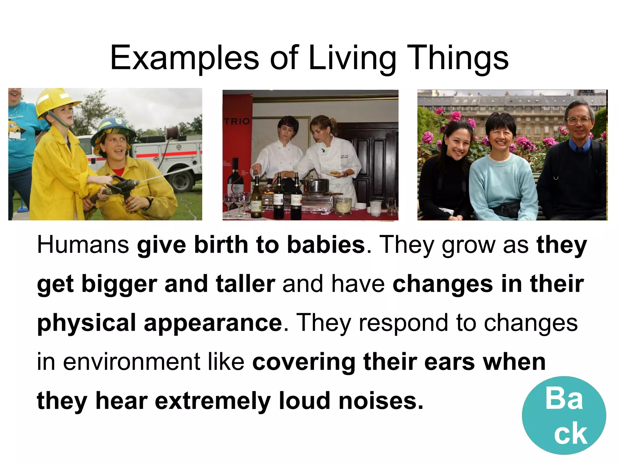 Living things and non living things learning object | ODP | Biological ...