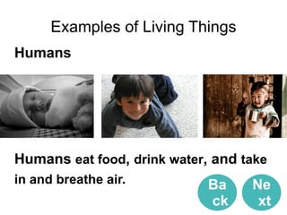Living things and non living things learning object | ODP