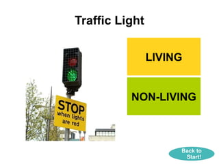 Living things and non living things learning object | PPT