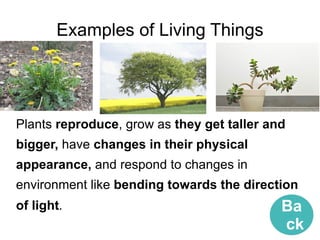 Living things and non living things (with license) | ODP