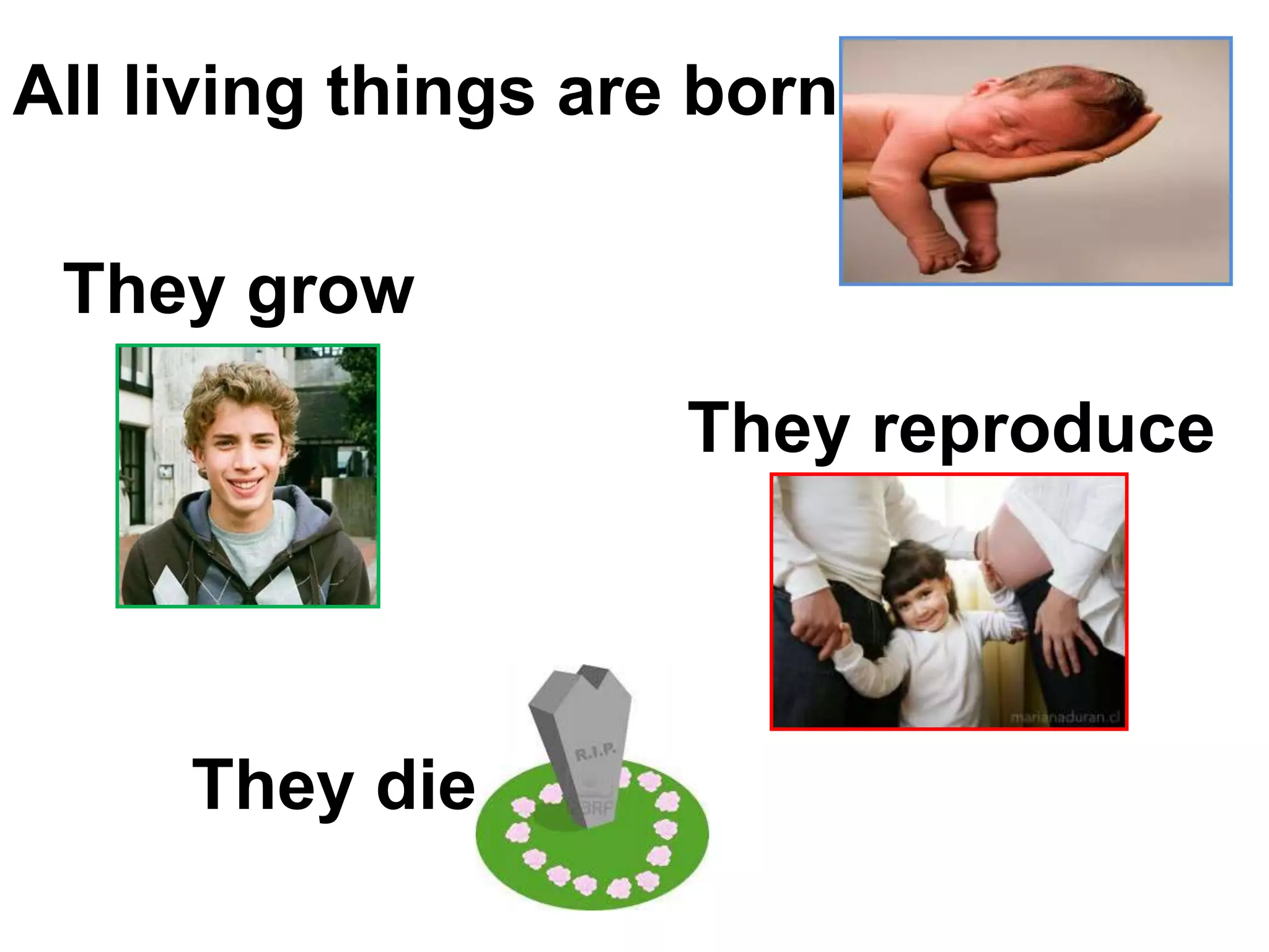 Living things and non living things | PPTX