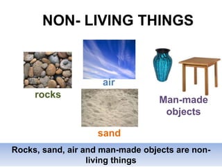 Living things and non living things | PPTX