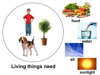 Living things and non living things | PPTX