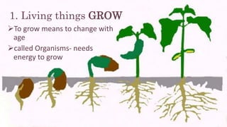 Living things and Nonliving things | PPTX