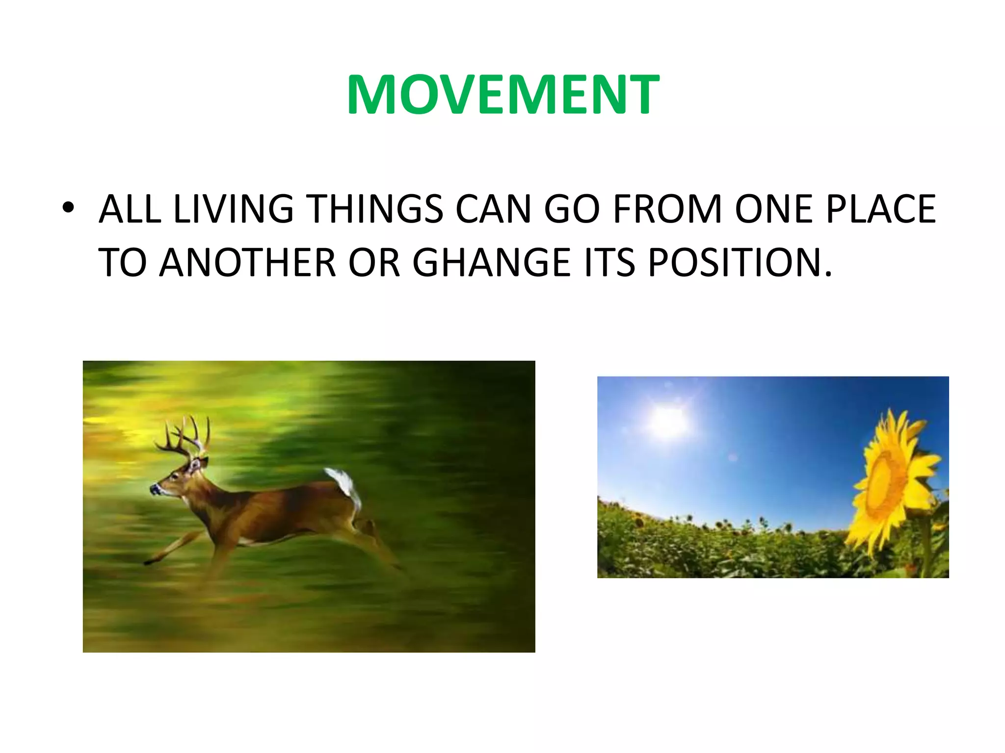 Living things and the cell | PPTX