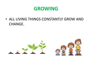 Living things and the cell | PPTX