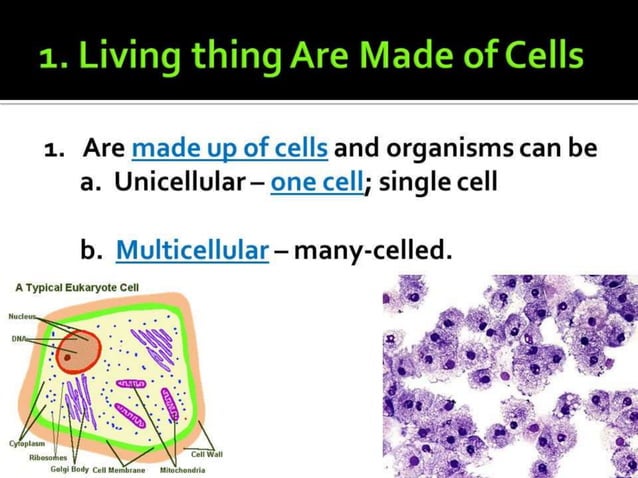 Living things and the cell | PPTX | Biological Sciences | Science