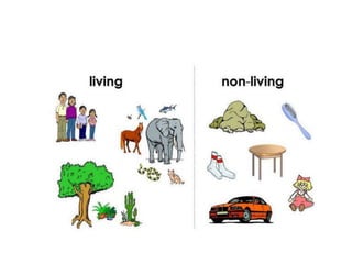 Living things and the cell | PPTX