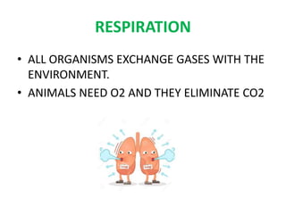 Living things and the cell | PPTX