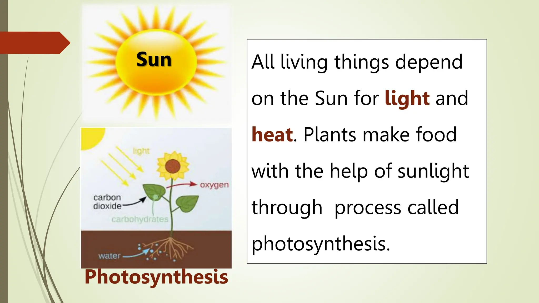 Living Things and the Environment.pptx Grade 3 Science | PPTX