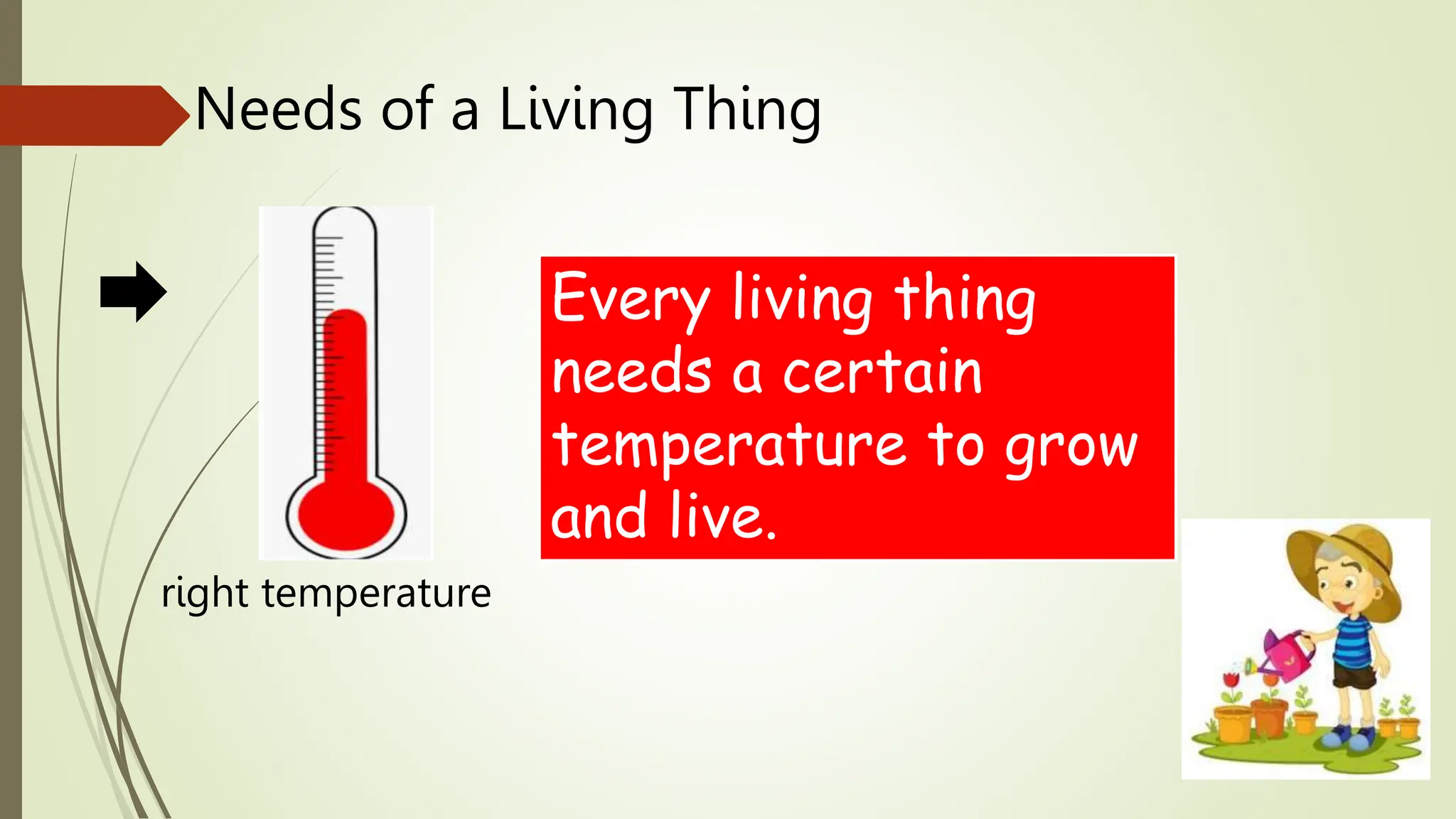 Living Things and the Environment.pptx Grade 3 Science | PPTX