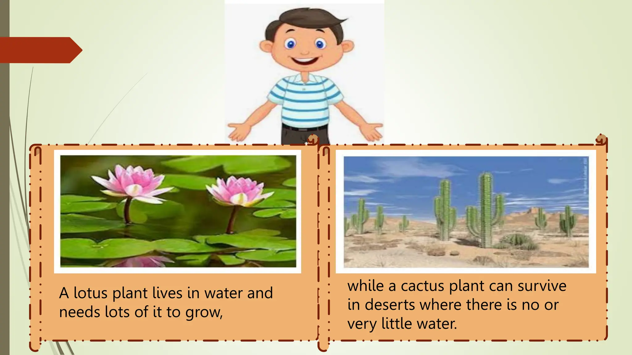 Living Things and the Environment.pptx Grade 3 Science | PPTX