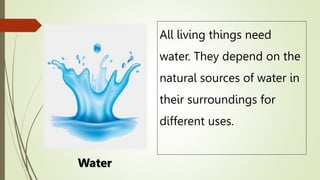 Living Things and the Environment.pptx Grade 3 Science | PPTX