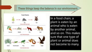 Living Things and the Environment.pptx Grade 3 Science | PPTX