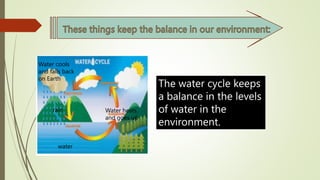 Living Things and the Environment.pptx Grade 3 Science | PPTX