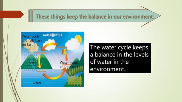 Living Things and the Environment.pptx Grade 3 Science | PPTX | Science