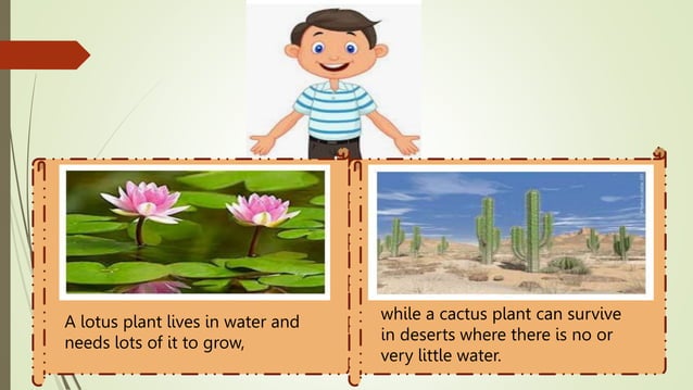 Living Things and the Environment.pptx Grade 3 Science | PPTX | Science