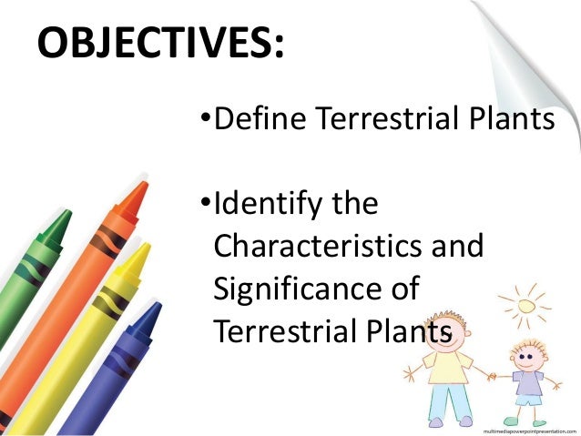 Living things and their environment terrestrial plants.pptx