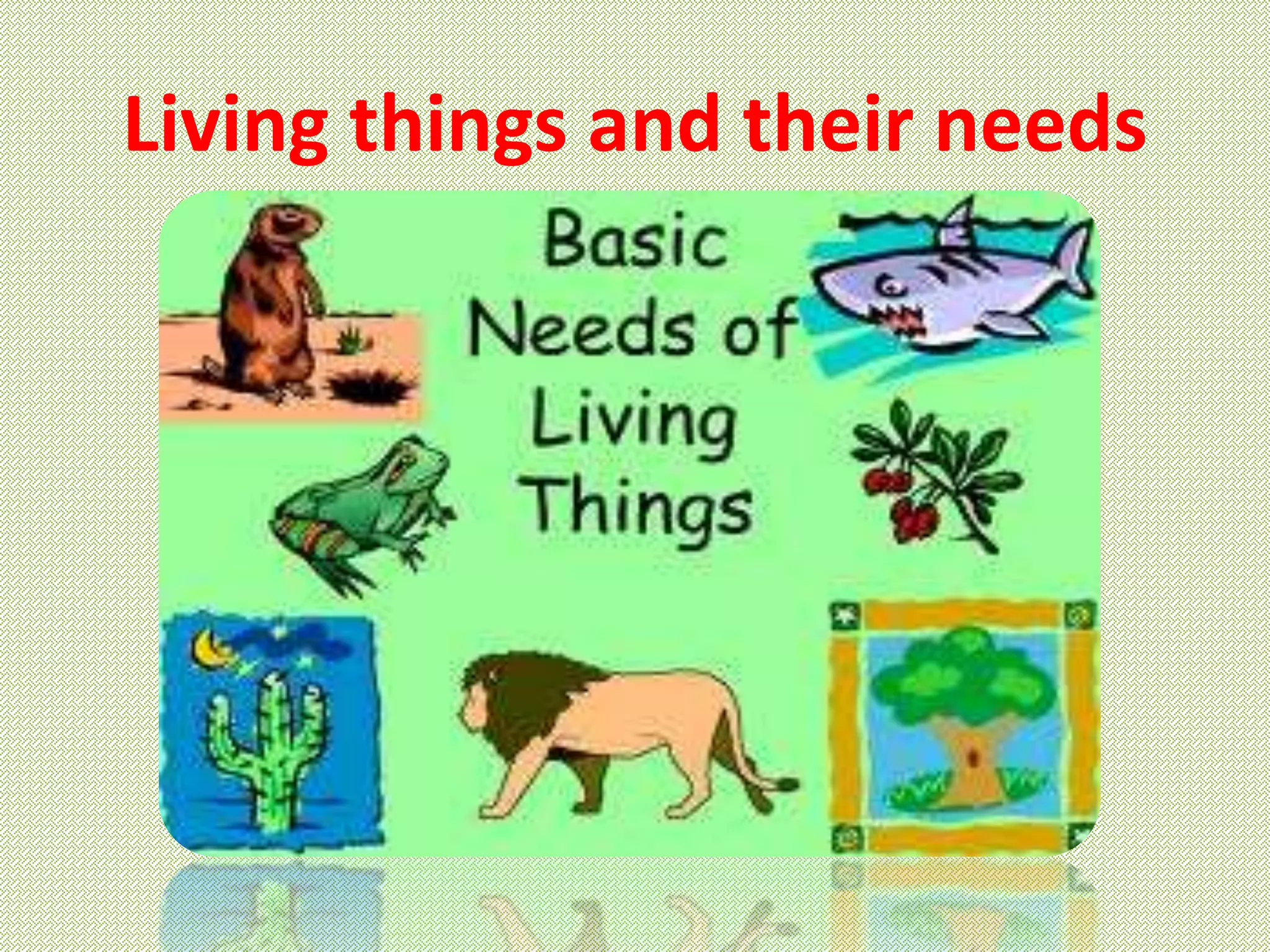 Living things and their needs | PPTX