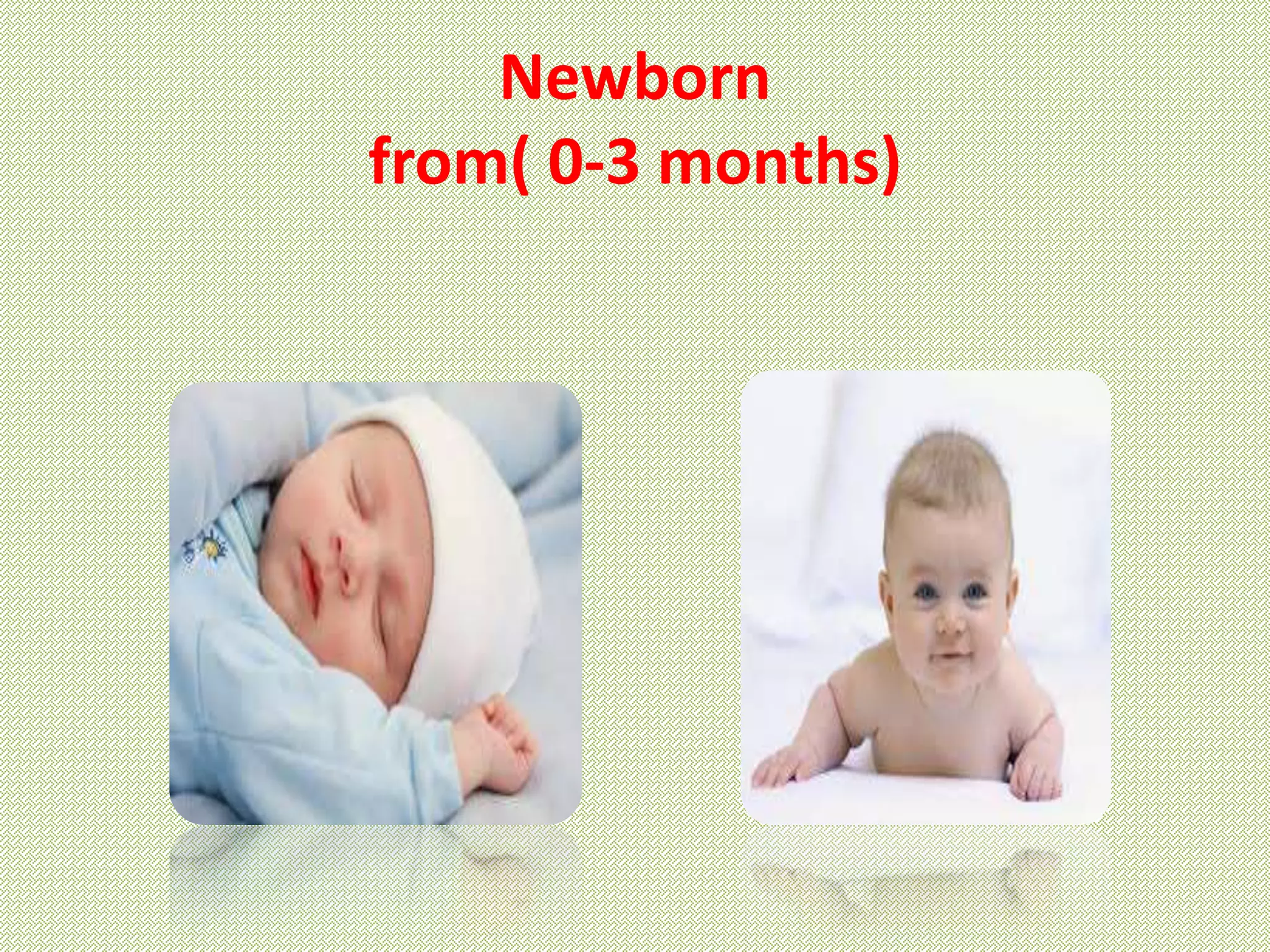 Living things and their needs | PPTX