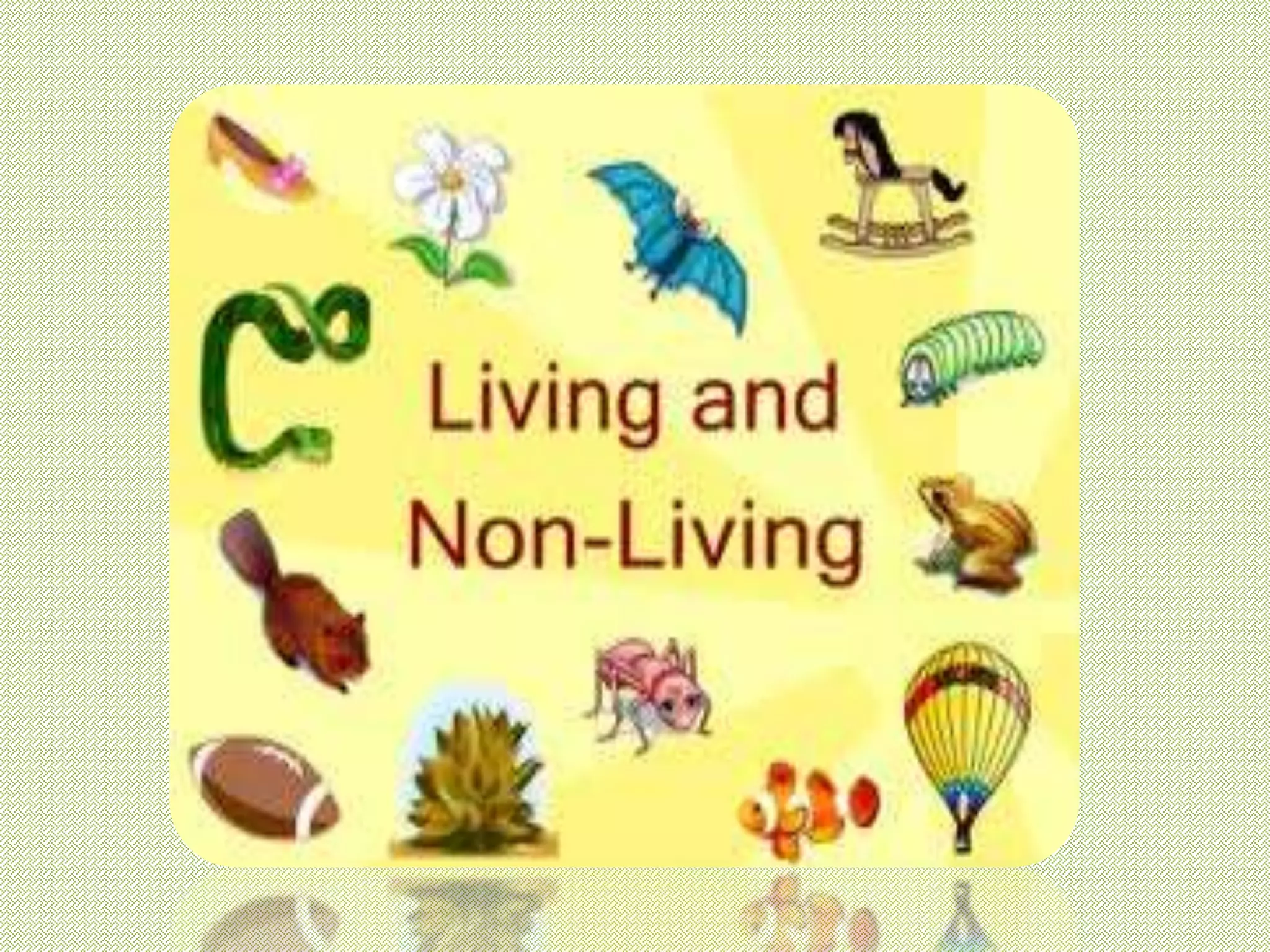 Living things and their needs | PPTX