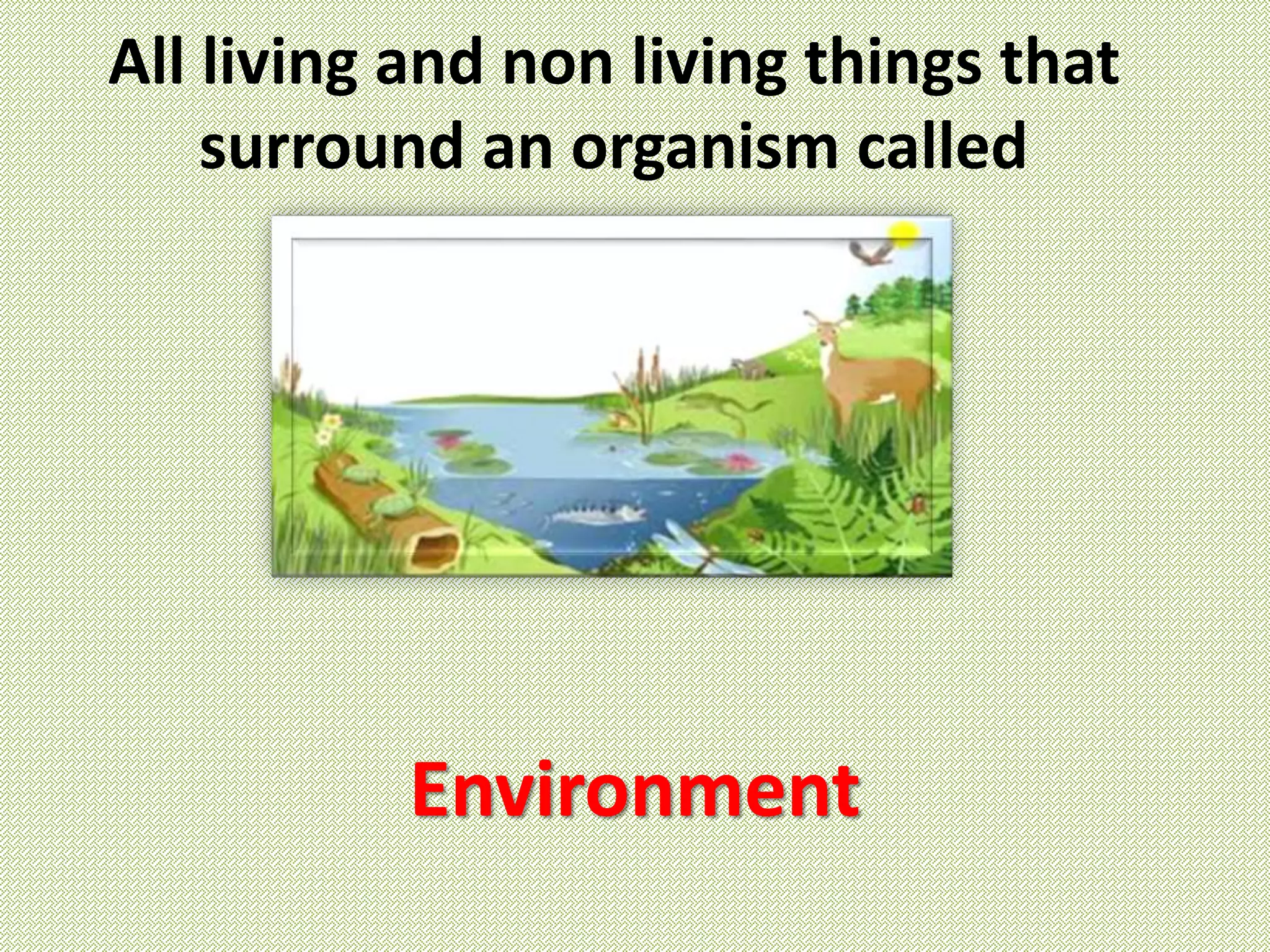 Living things and their needs | PPTX