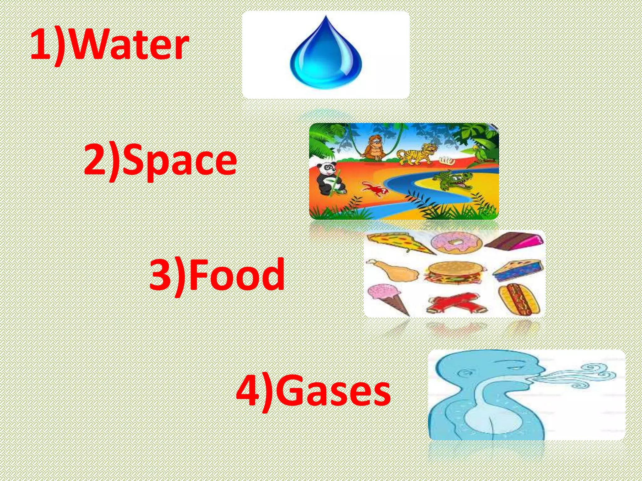 Living things and their needs | PPTX