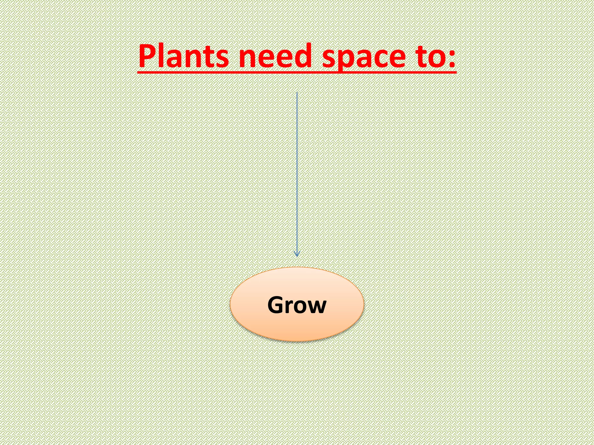 Living things and their needs | PPTX