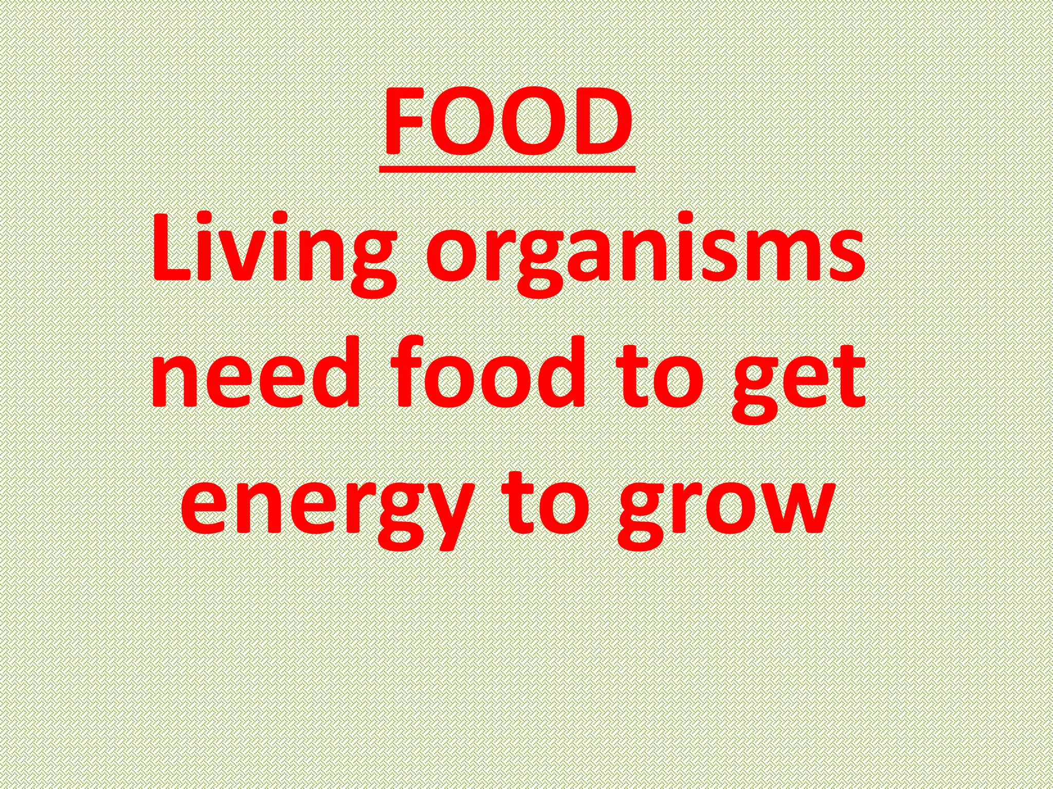 Living things and their needs | PPTX