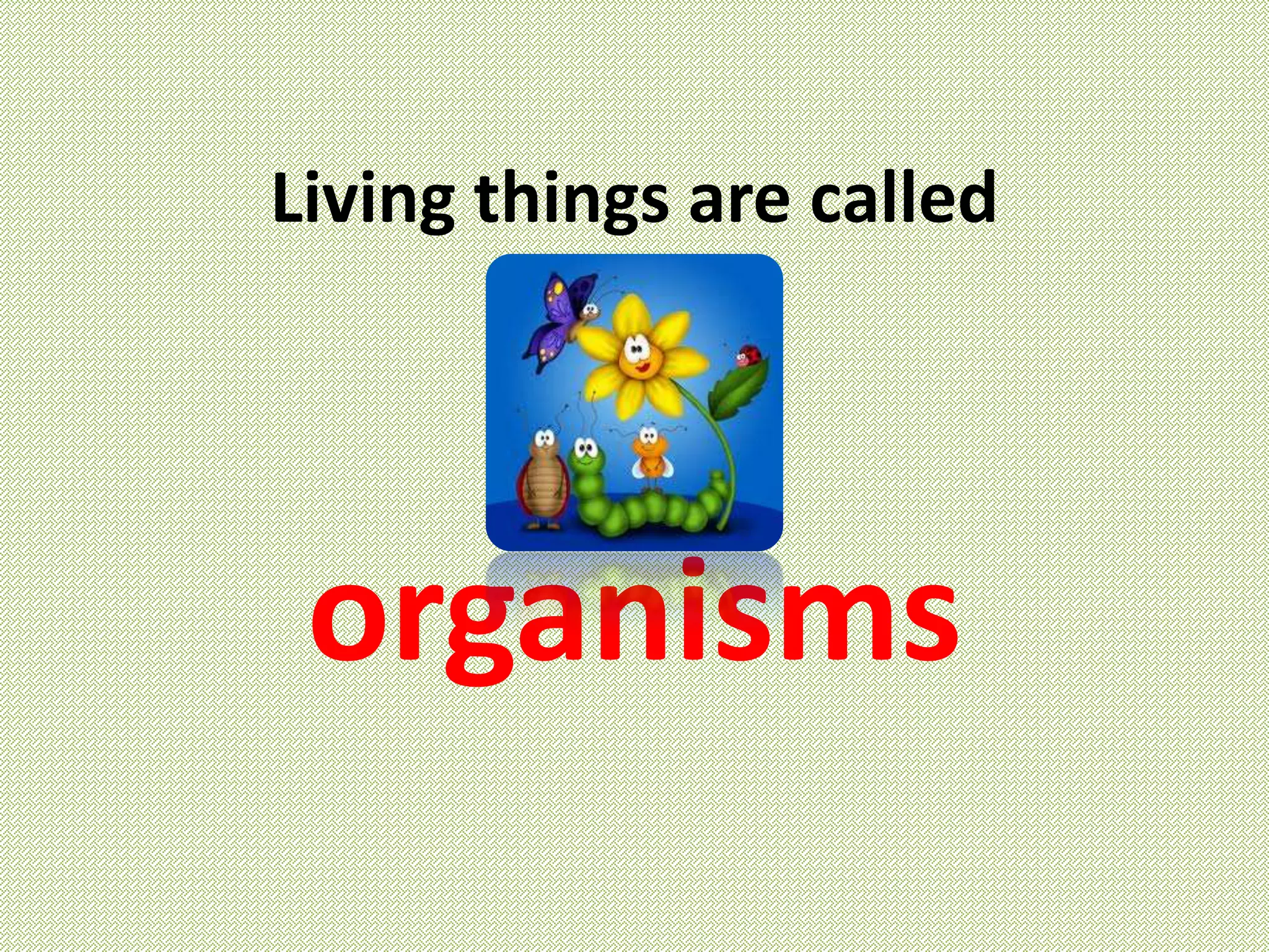 Living things and their needs | PPTX