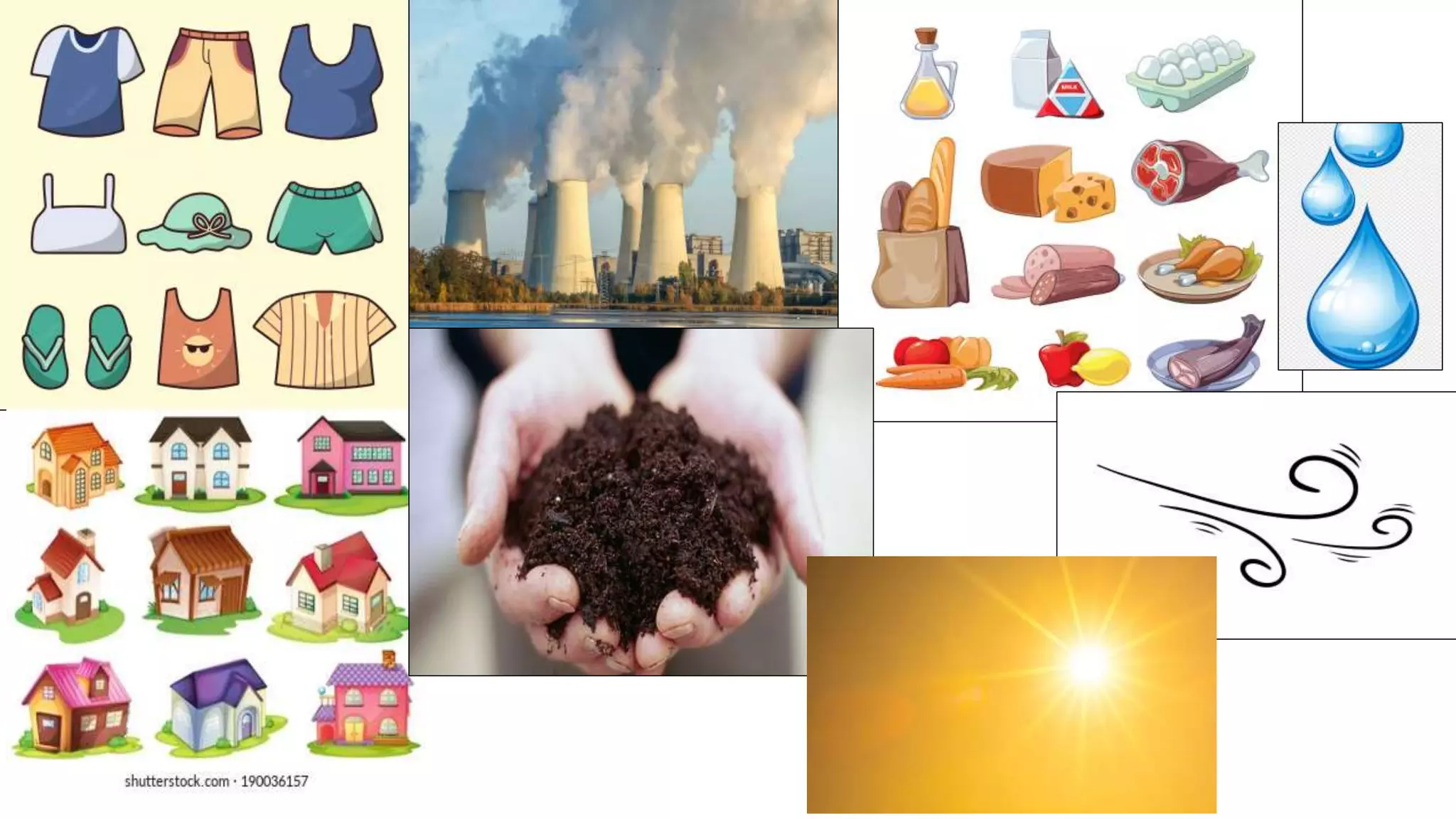 LIVING THINGS AND THEIR NEEDS.pptx