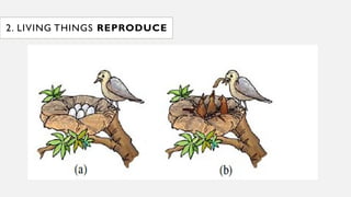 Living Things and Non-Living Thing Living Things and Non-Living Things ...